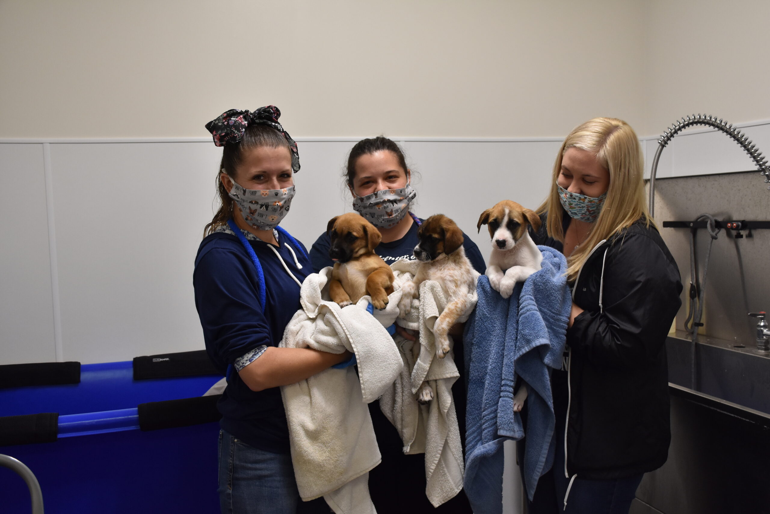 FROM SORROW TO SAFETY - Helen Woodward Animal Center