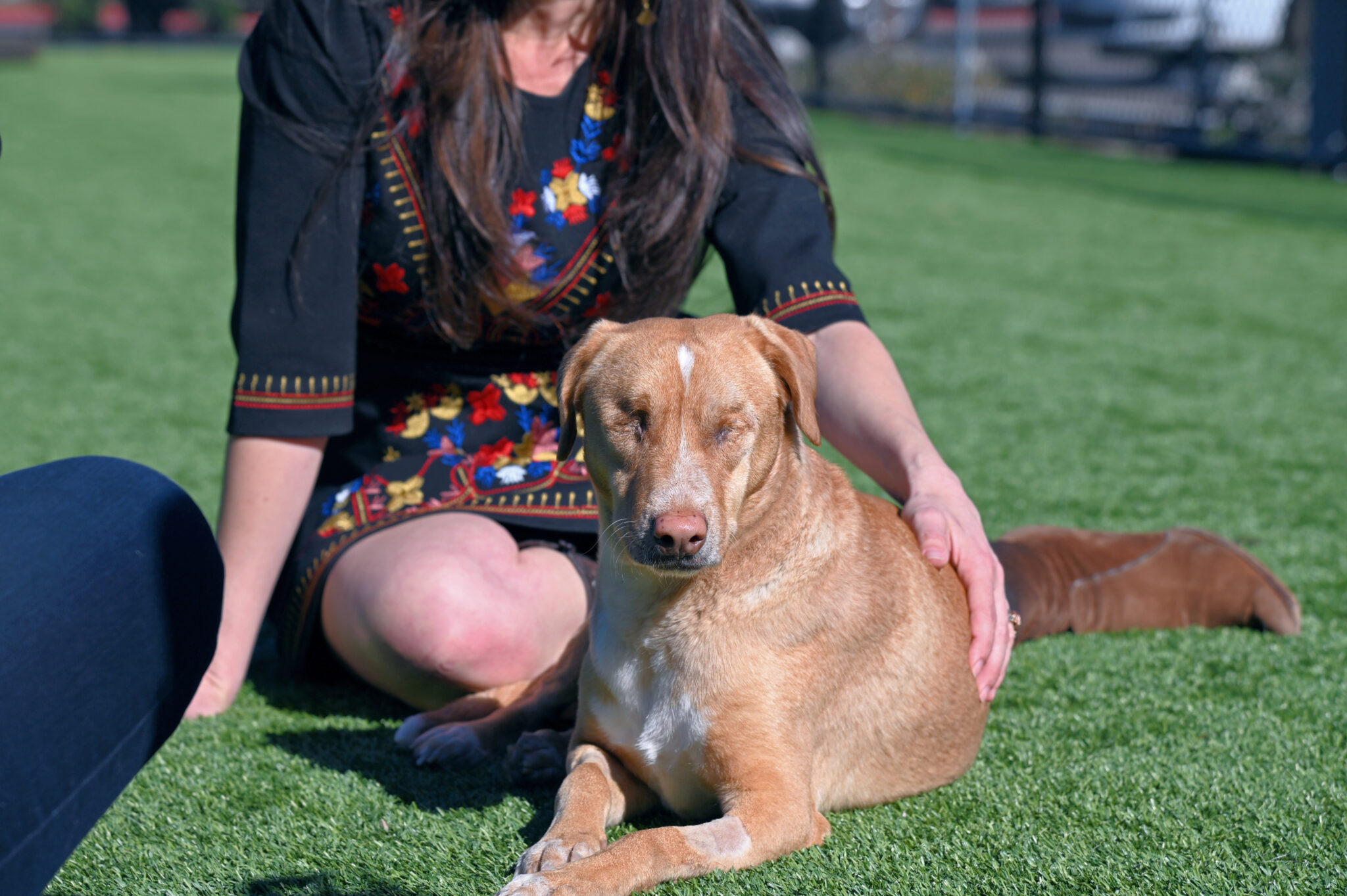 WORLDWIDE LOVE FOR LOUIS - Helen Woodward Animal Center