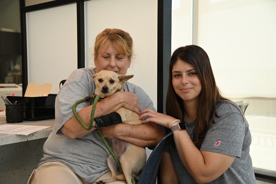 Dogs For Adoption - Helen Woodward Animal Center