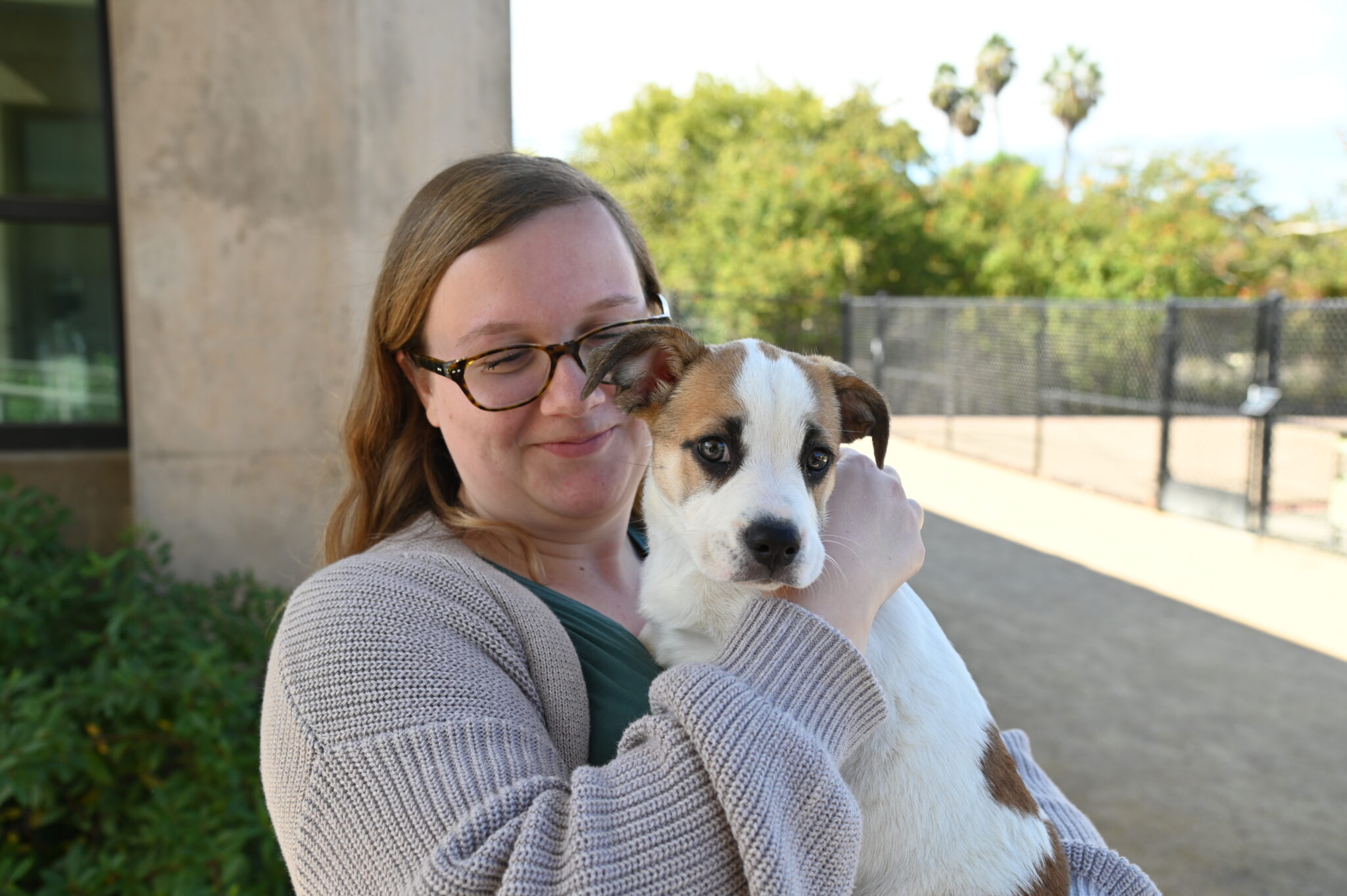 How to Volunteer at an Animal Shelter or Animal Rescue