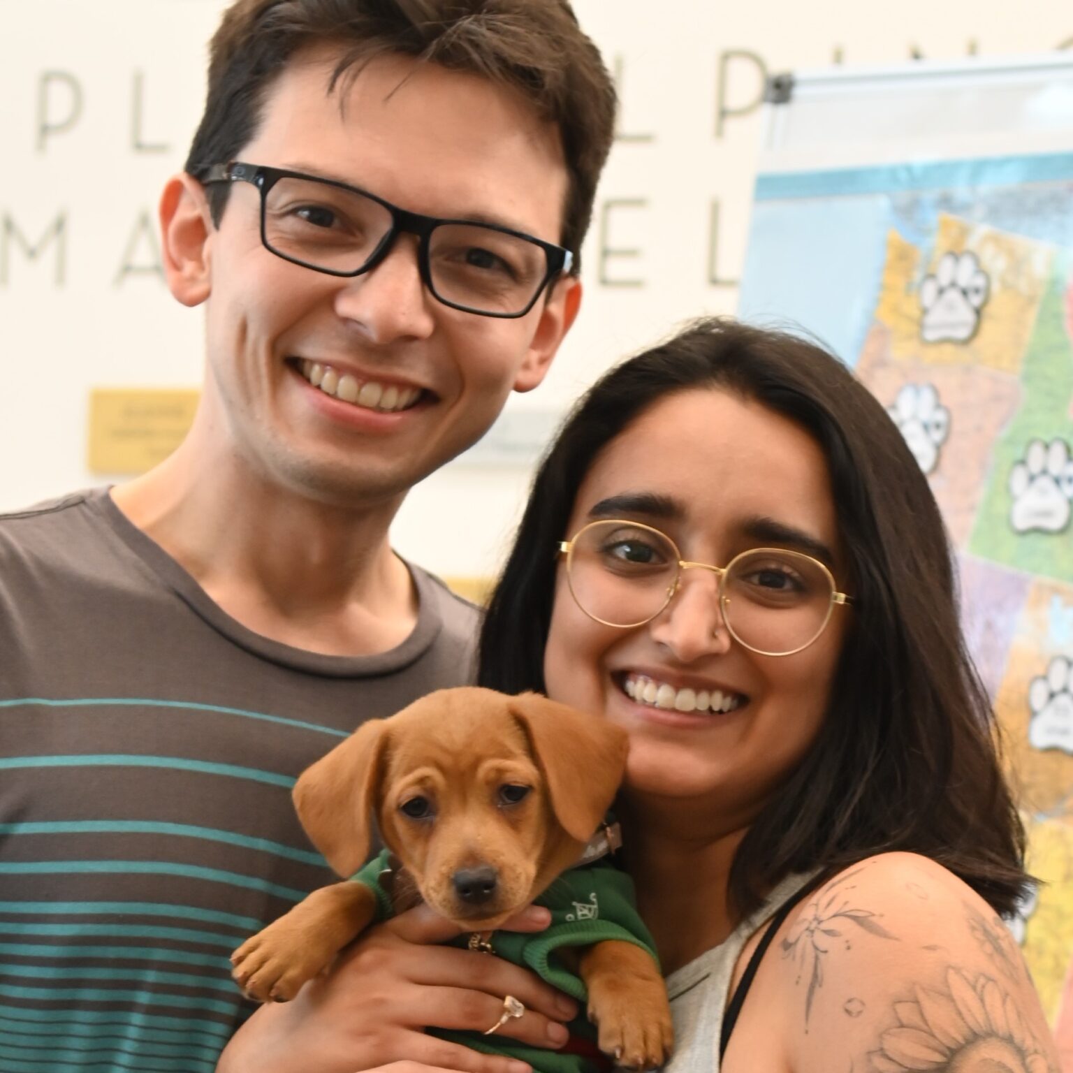 A Heartwarming Pup-posal: How an Adoptable Puppy Helped Seal the Deal ...