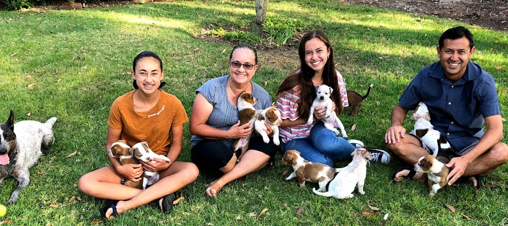 Foster Volunteer Testimonials - Helen Woodward Animal Center